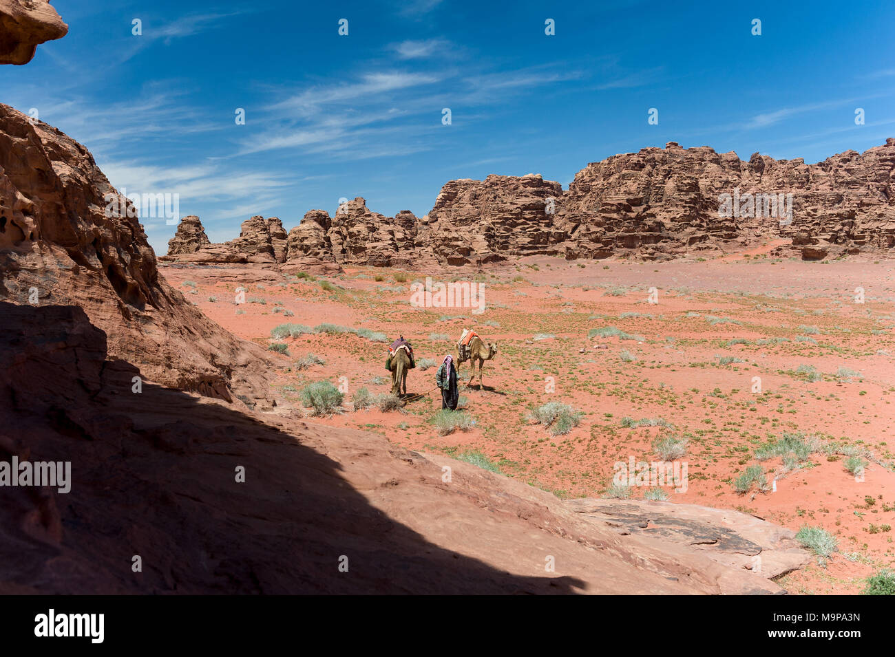 Wadi river saudi arabia hi-res stock photography and images - Alamy