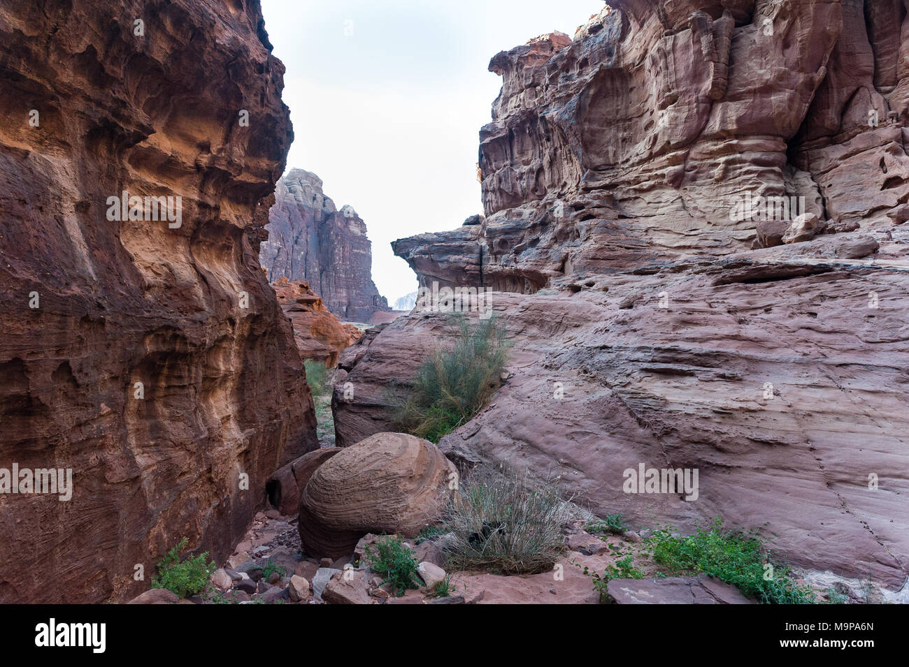 Wadi Rum , The Valley of the Moon, is a valley cut into the sandstone ...