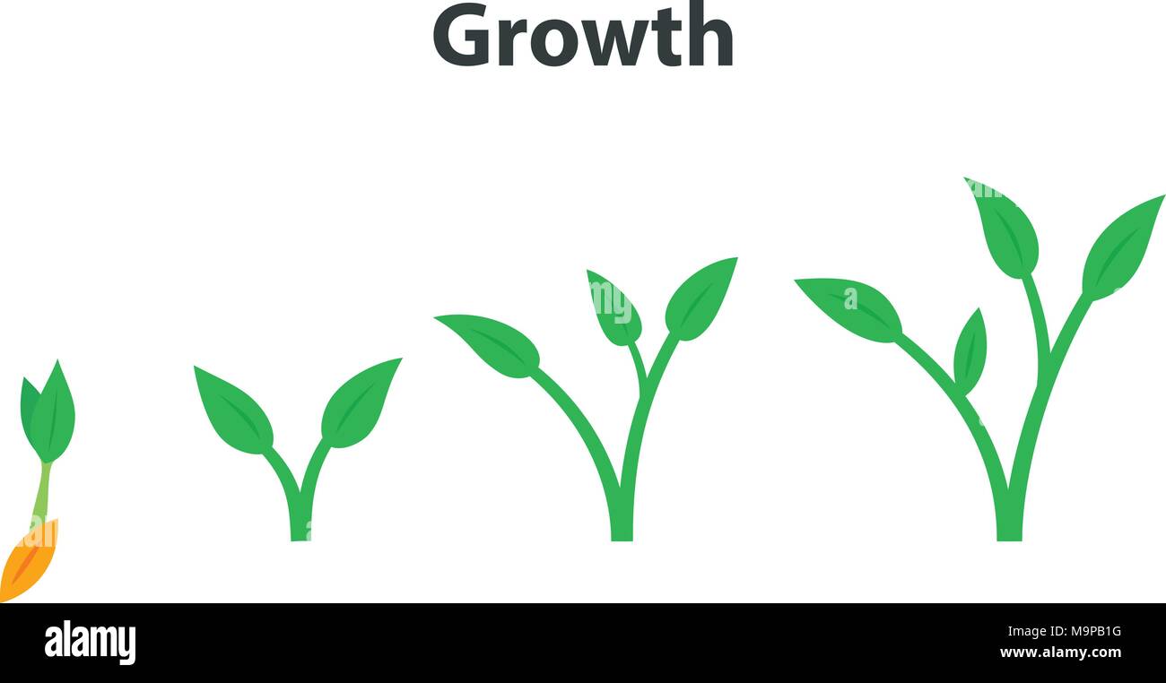 The Process Of Growing Plants Stages And Timeline Infographic Of