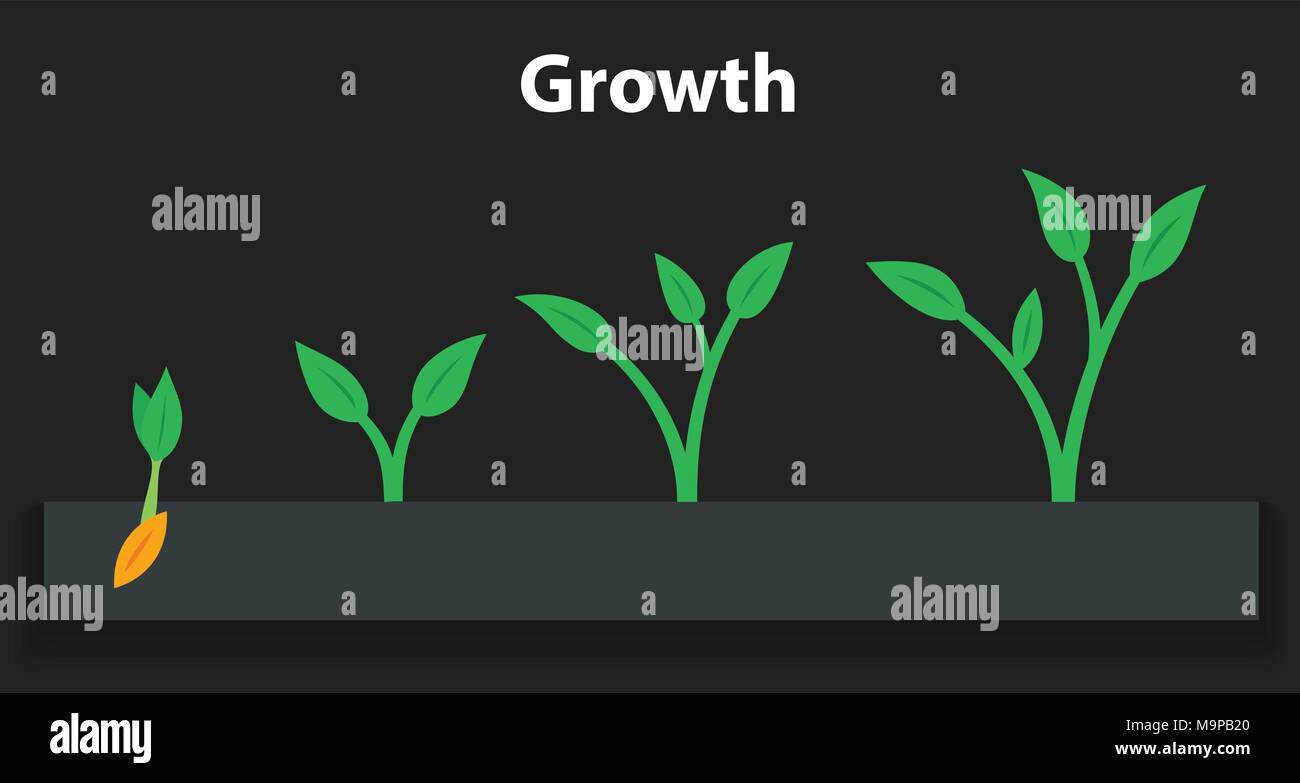 Tree life cycle diagram hi-res stock photography and images - Alamy