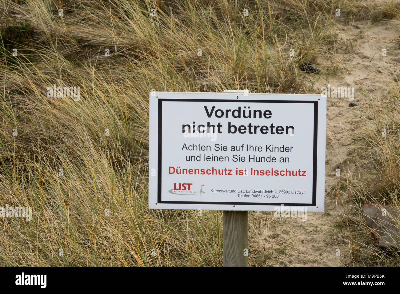 Primary dune at List, no trespassing, Sylt, North Frisian Island ...