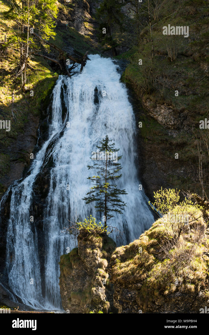 Wasserlochklamm Palfau High Resolution Stock Photography and Images - Alamy