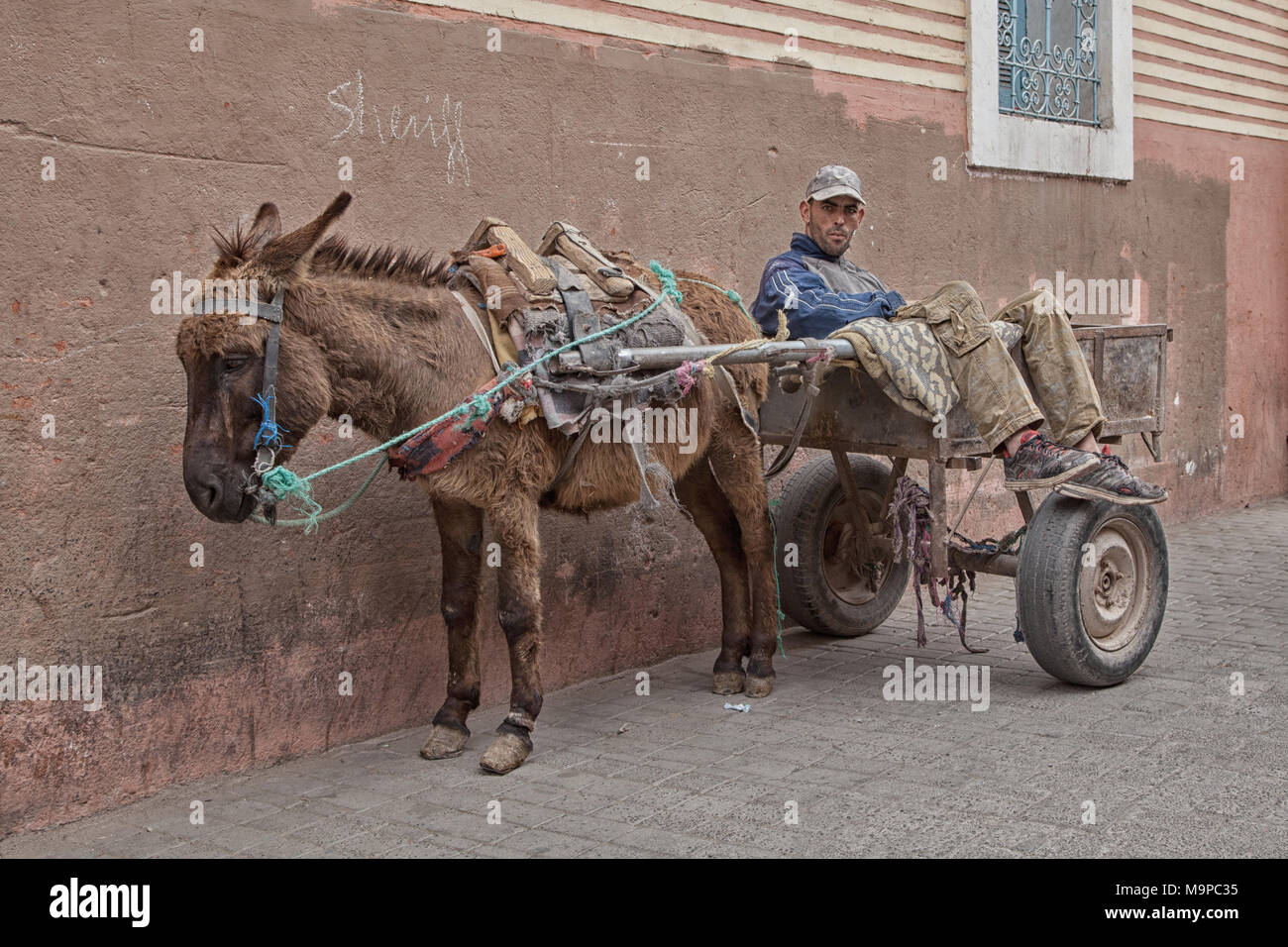 Man on donkey cart hi-res stock photography and images - Alamy