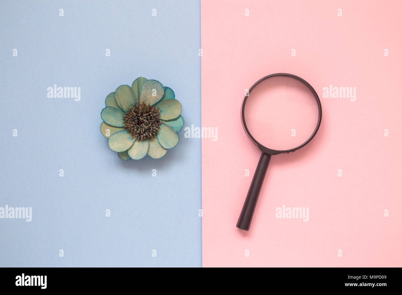 Magnifying glass flower hi-res stock photography and images - Alamy