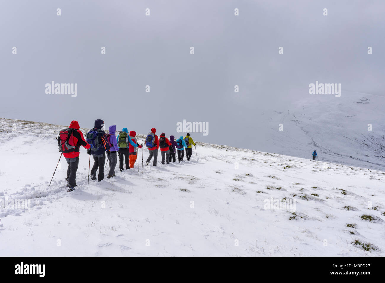 Hiking group at the descent of Königsstuhl, Ramingstein, Salzburg ...
