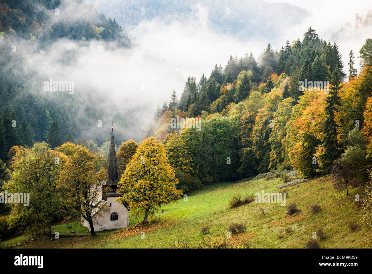 The höllental black forest hi-res stock photography and images - Alamy