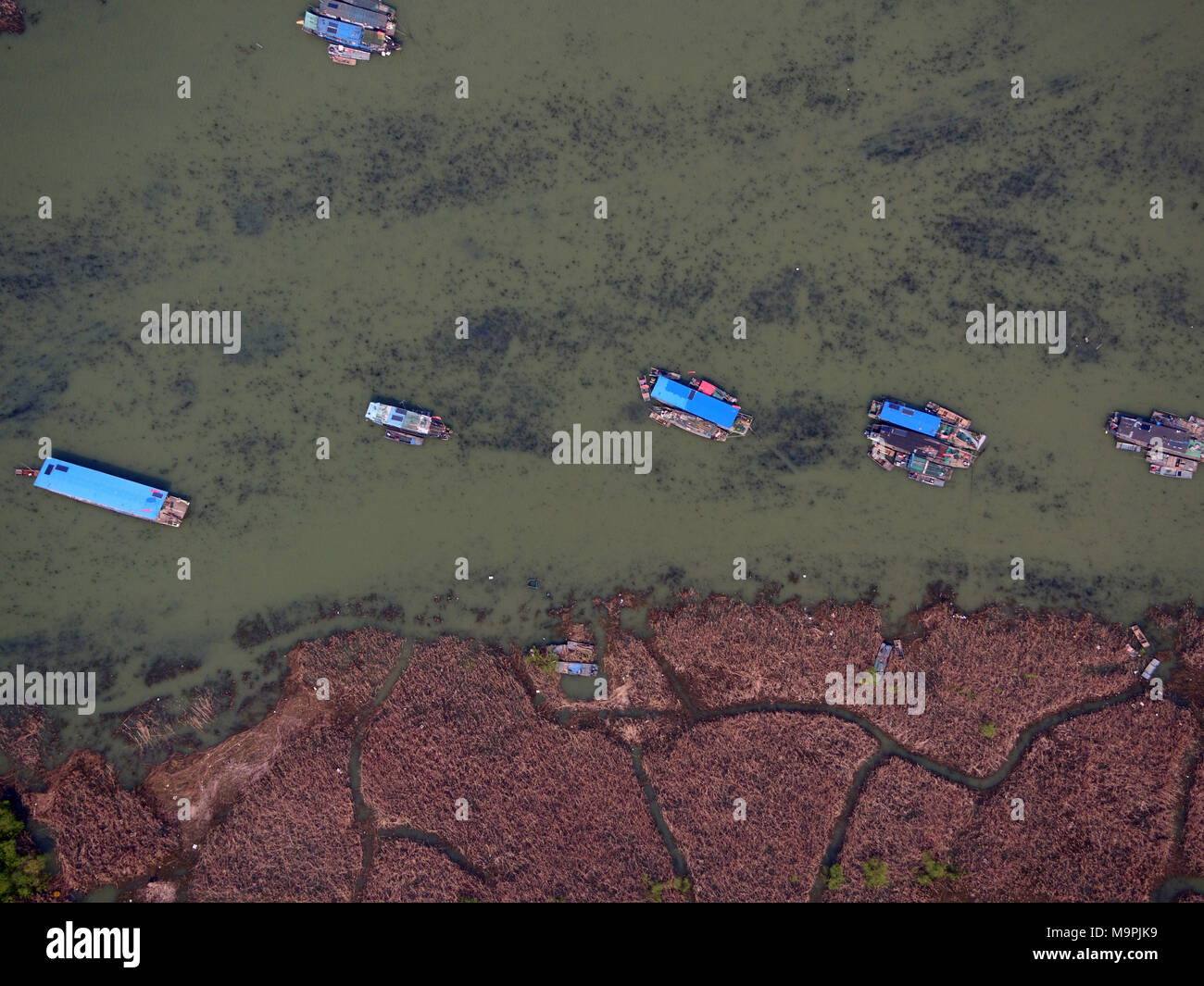 Hongze Lake Wetland, Huai'an, China. 27th Mar, 2018. Aerial photography ...
