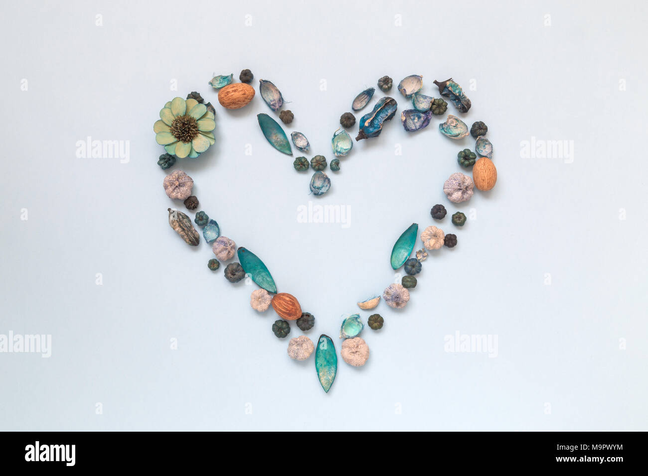 Heart symbol made of dried flowers, leaves and plant parts on pastel ...