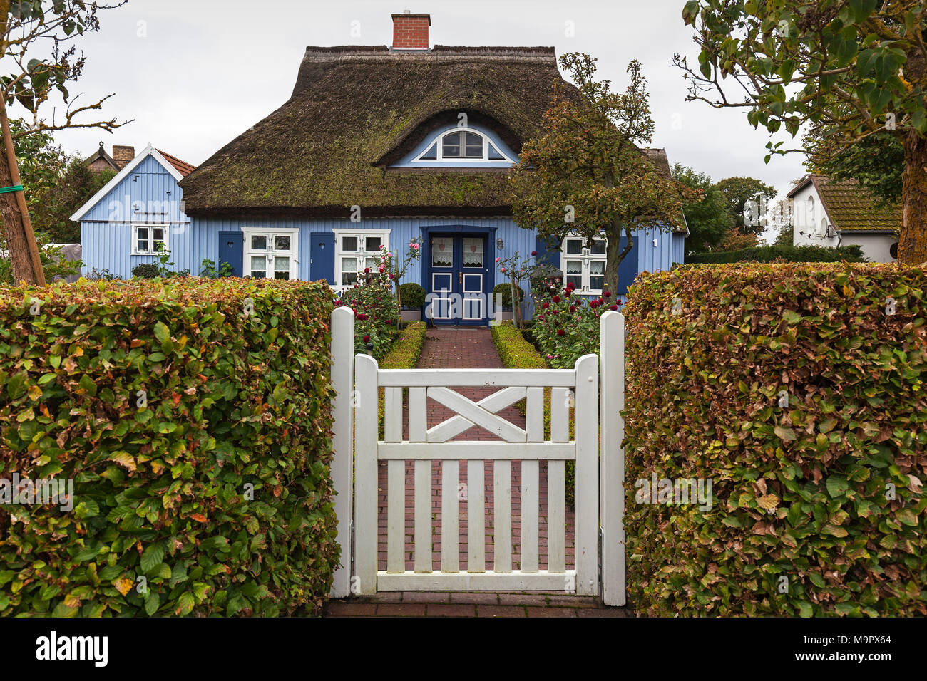Typical blue thatched-roof house, Born am Darß, Fischland-Darß-Zingst ...