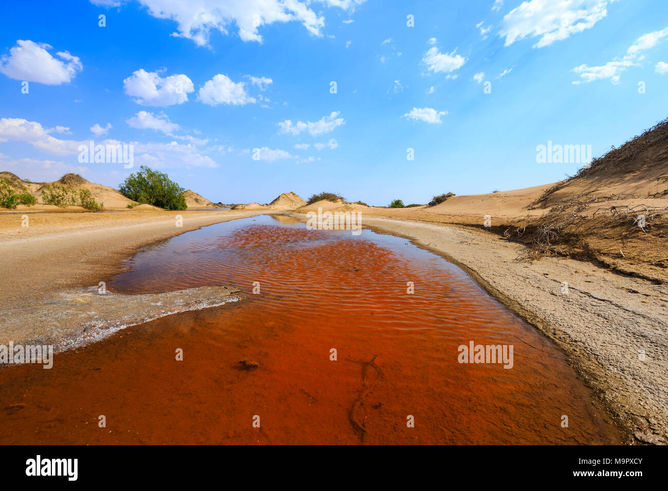 Salt lake in the desert, Walvis Bay, Erongo region, Namibia Stock Photo ...