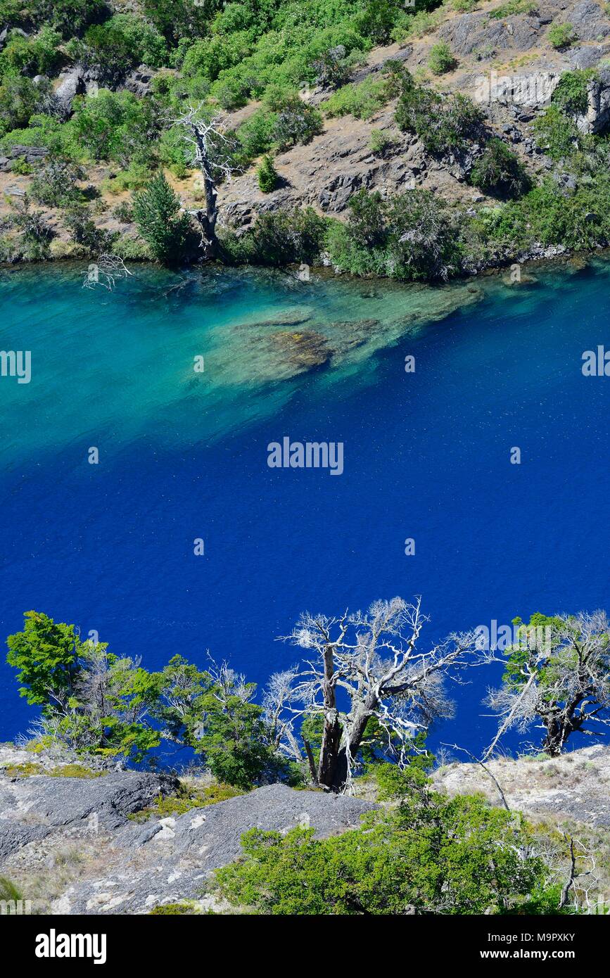 Lago Cochrane, LReserva Nacional Lago Cochrane o Tamango, Cochrane ...