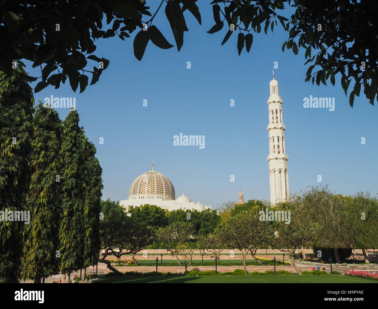 Dome and Minaret, Great Sultan Qaboos Mosque, Muscat, Oman Stock Photo ...