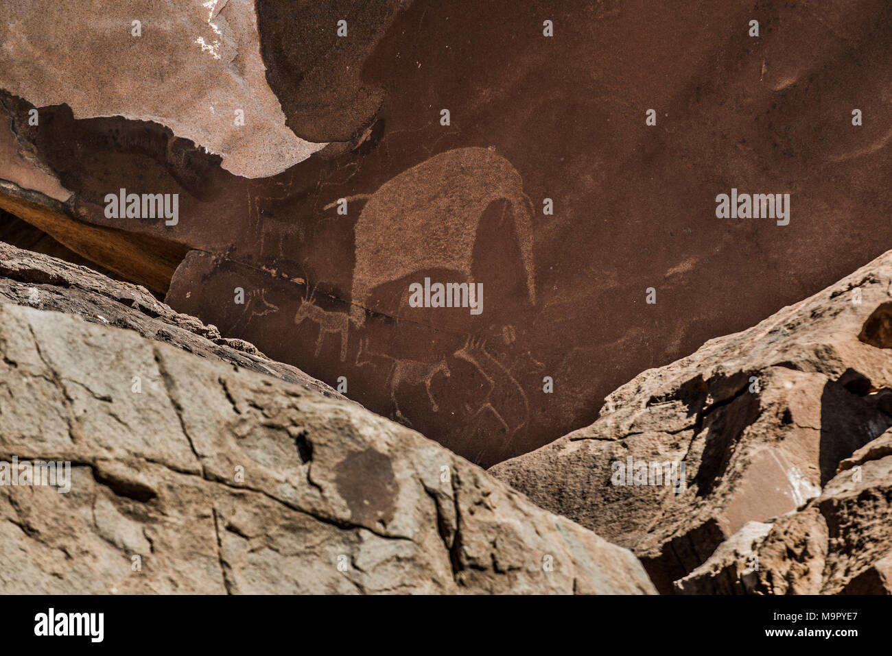 Rock engravings, Twyfelfontain, National Monument, Kunene District ...