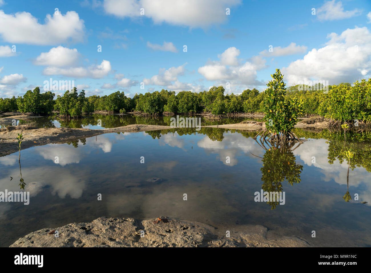 Pointe jerome hi-res stock photography and images - Alamy