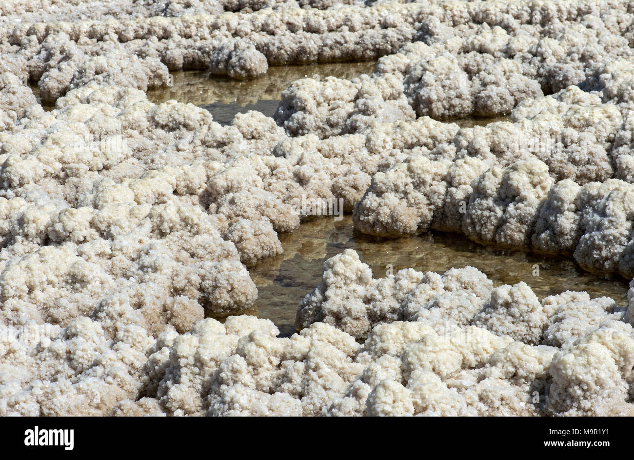 Crust of salt in Assale Salt Lake, Lake Assale, Danakil Desert, Afar ...