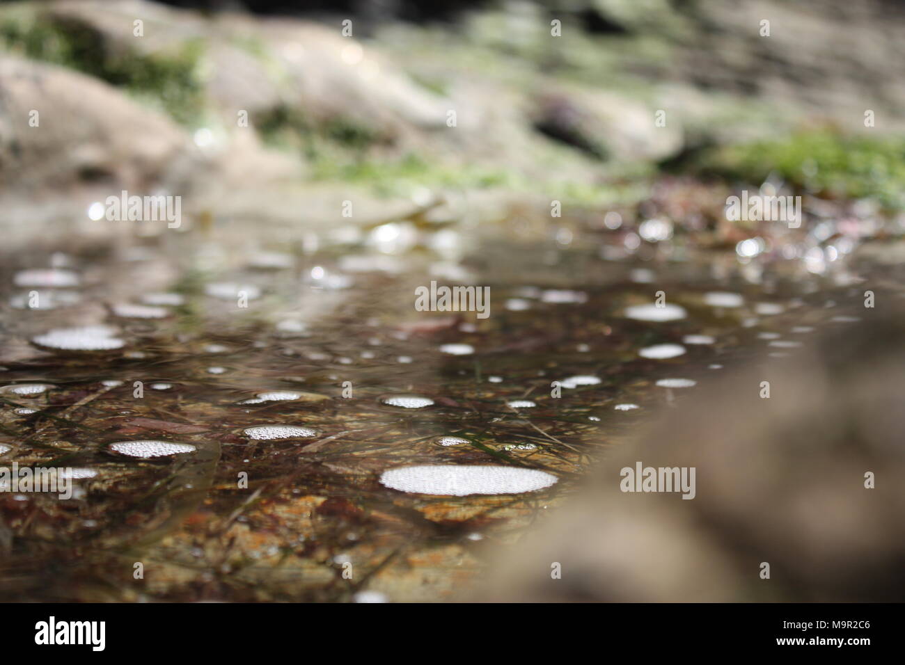 Dirt grass hi-res stock photography and images - Alamy