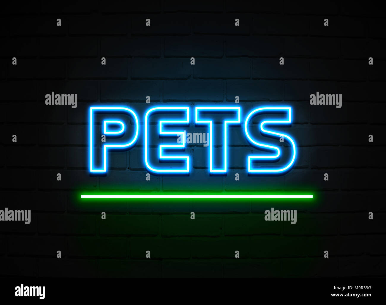 Entertaining pets hi-res stock photography and images - Alamy