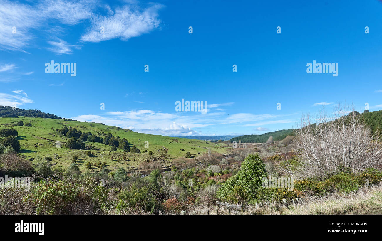 Countryside in new zealand hi-res stock photography and images - Alamy