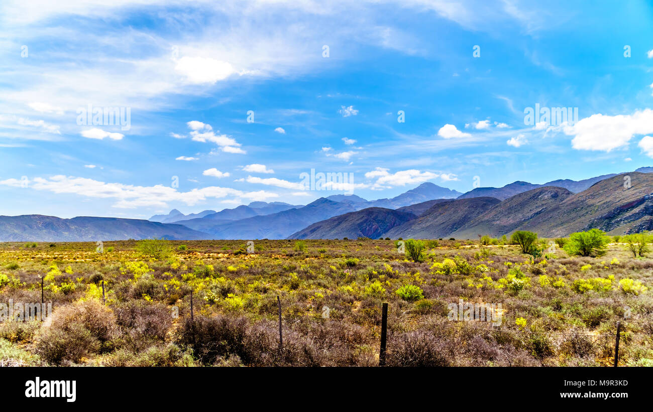 Klein karoo hi-res stock photography and images - Alamy