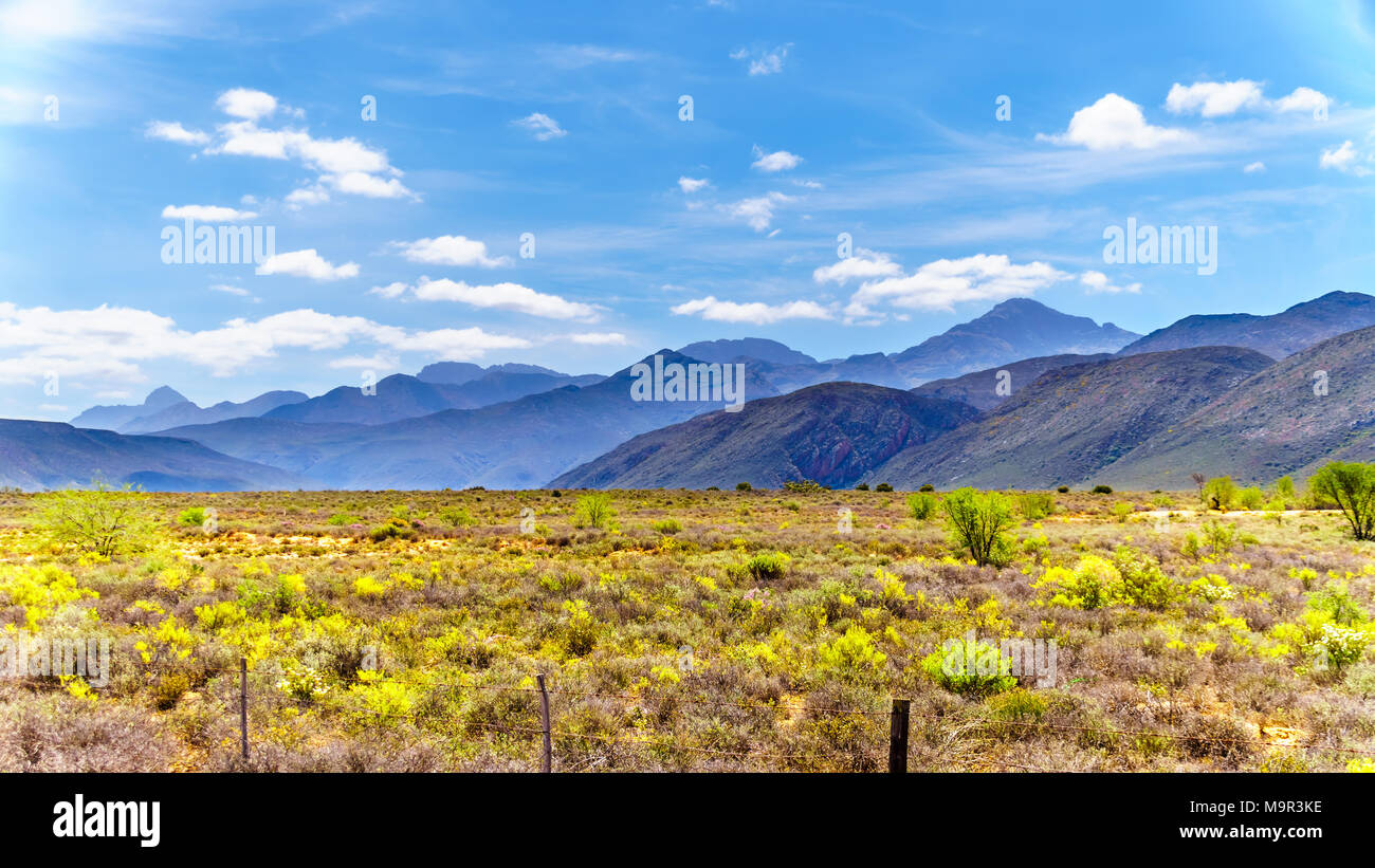 The Little Karoo region of the Western Cape Province of South Africa ...