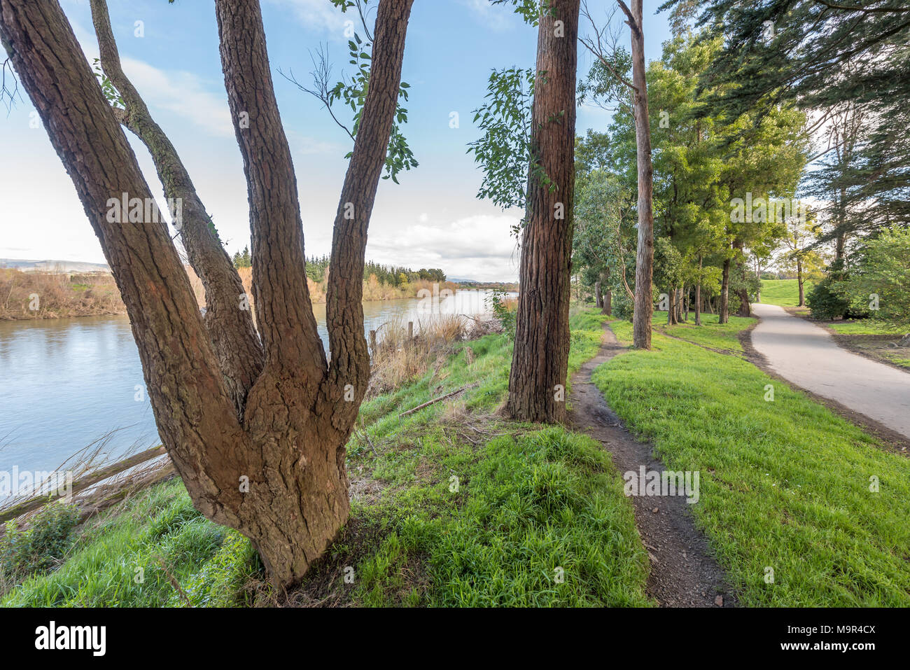 Palmerston north manawatu river hi-res stock photography and images - Alamy