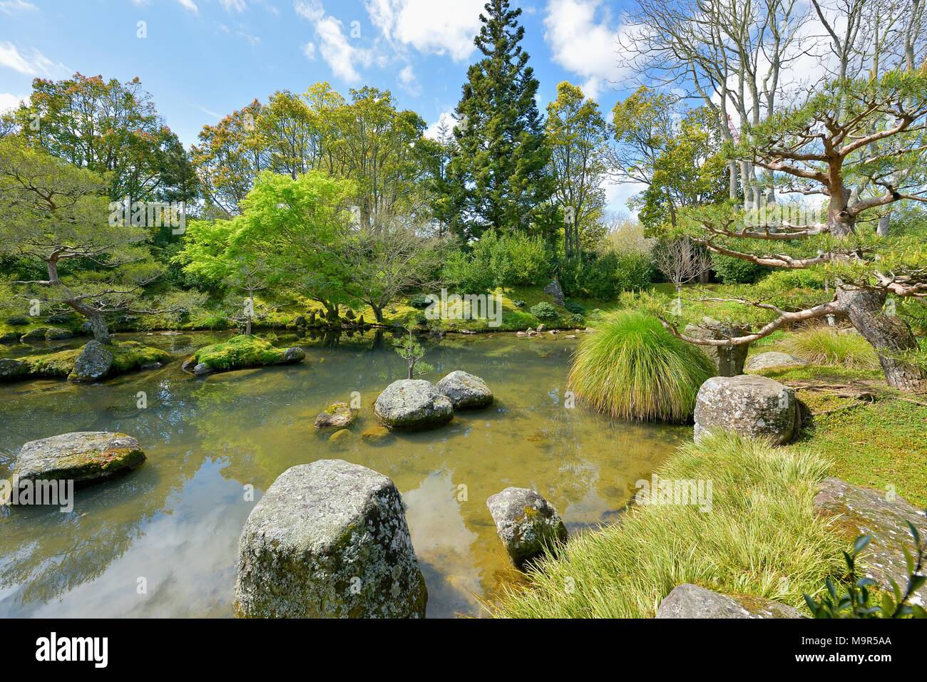 Japanese garden at Hamilton Botanical Gardens Stock Photo - Alamy
