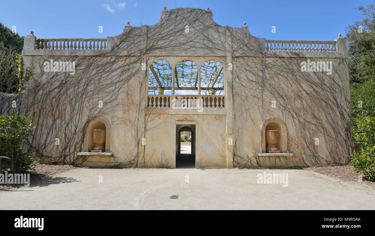 A wall covered with creepers in a decorative random pattern Stock Photo ...