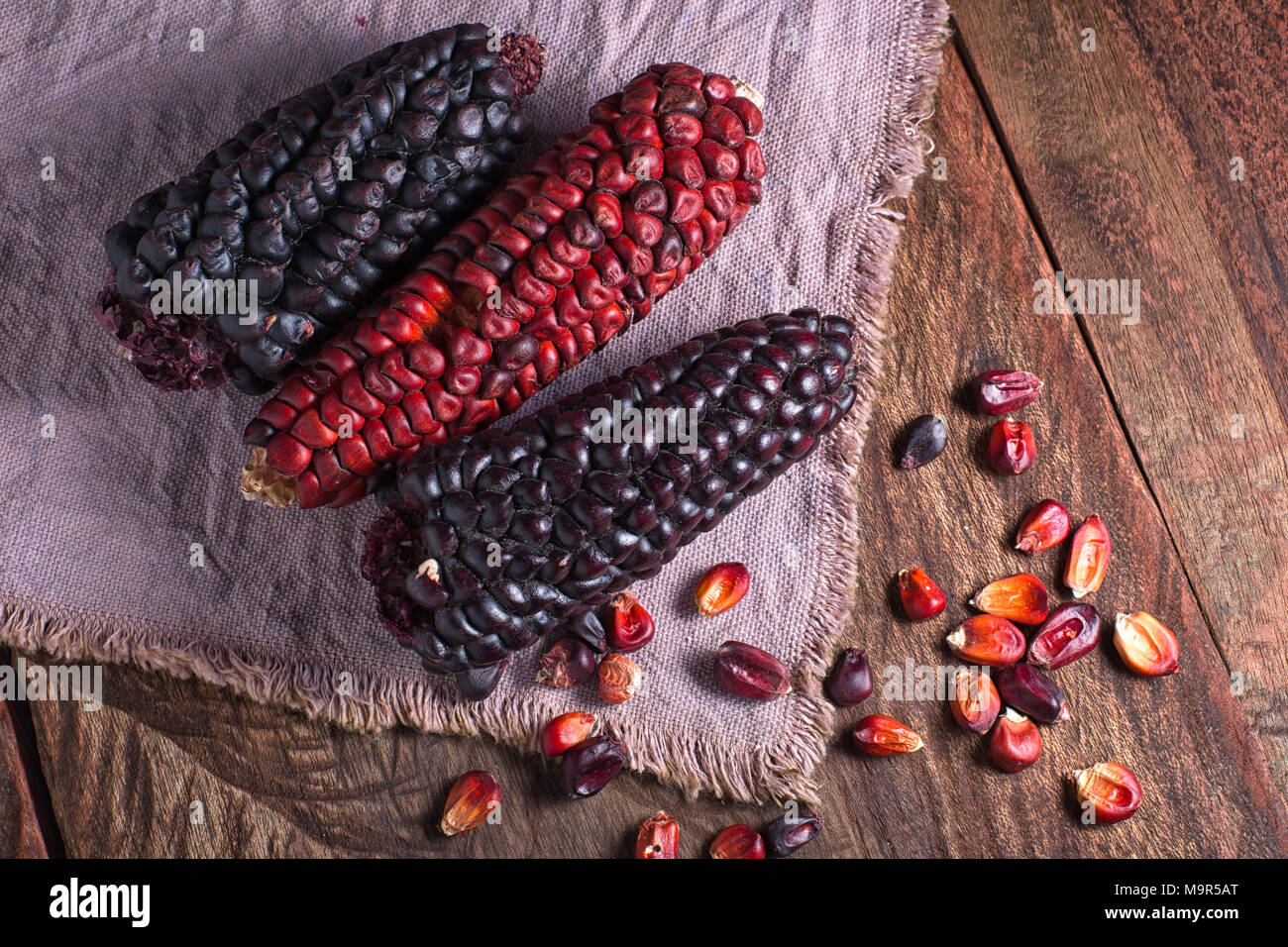 red and black heirloom corn cobs from Ecuador Stock Photo - Alamy