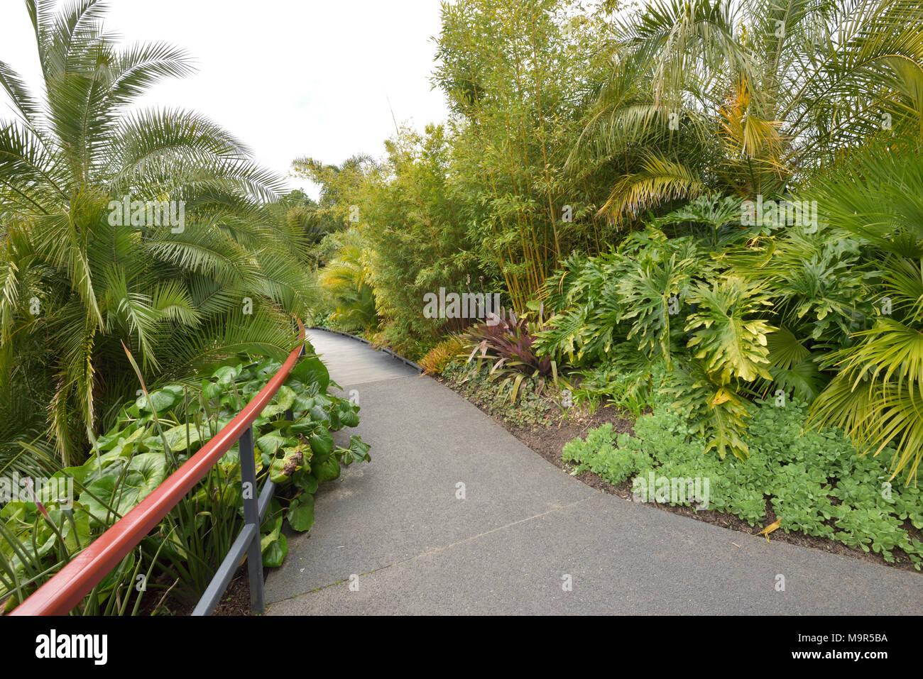 A curved walkway in a garden on a cloudy day Stock Photo - Alamy