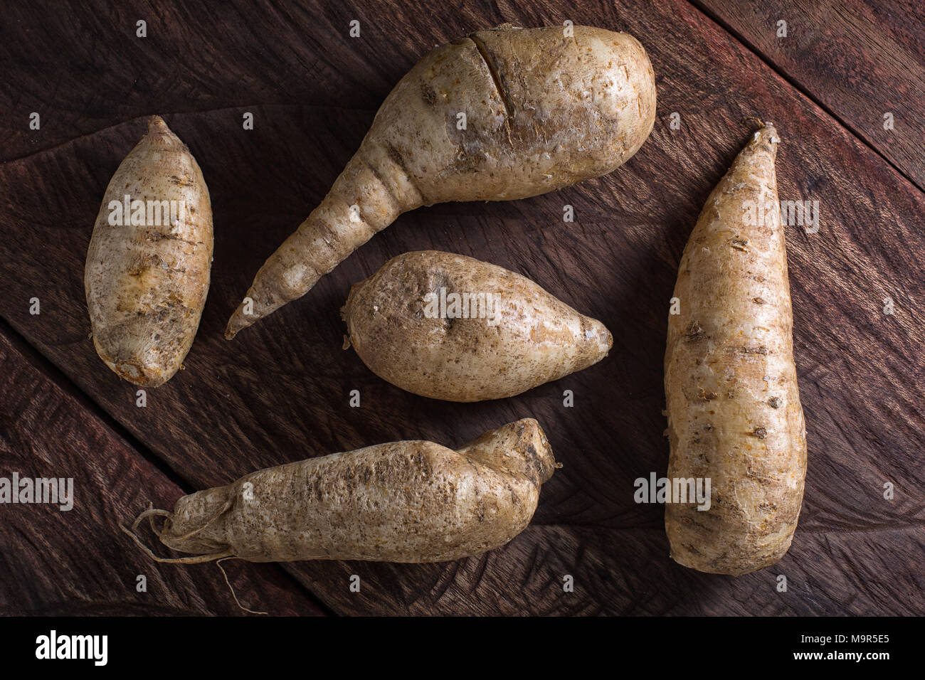 Arracacia xanthorrhiza called white carrot in Ecuador is rich in cacium ...