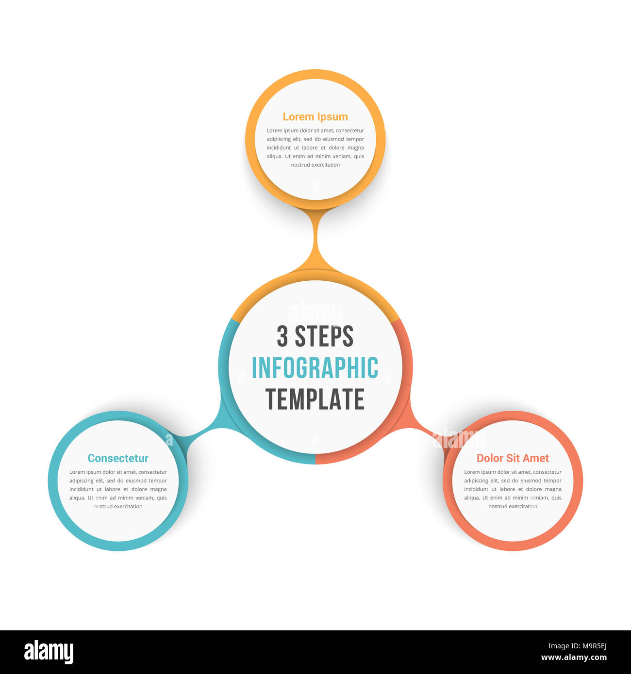 Circular Process Infographic