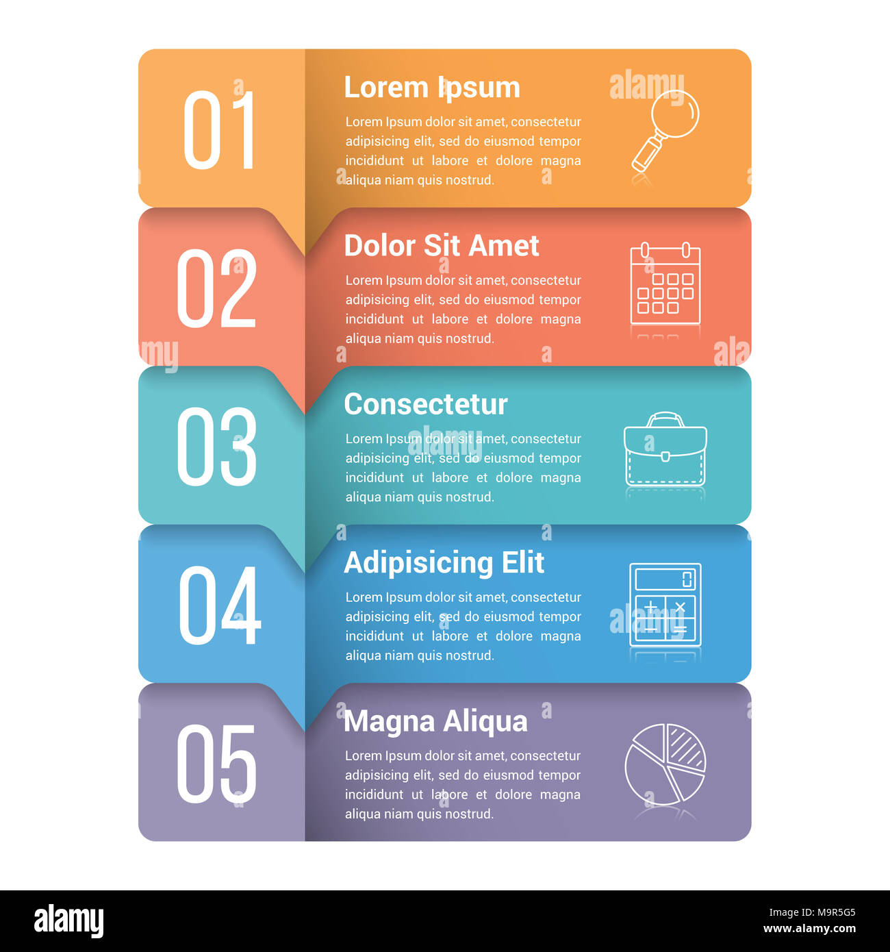 Infographic Workflow