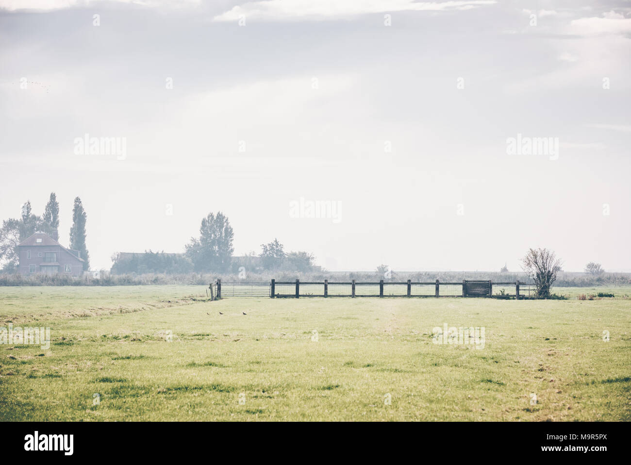 Dutch wide open rural landscape with farm in the field. the Netherlands ...