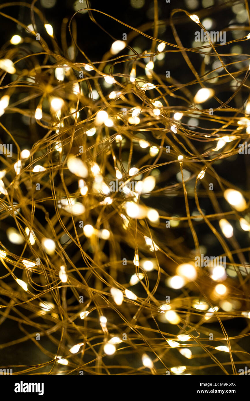 Cluster of micro LED string lights. Shallow depth of field, out of ...