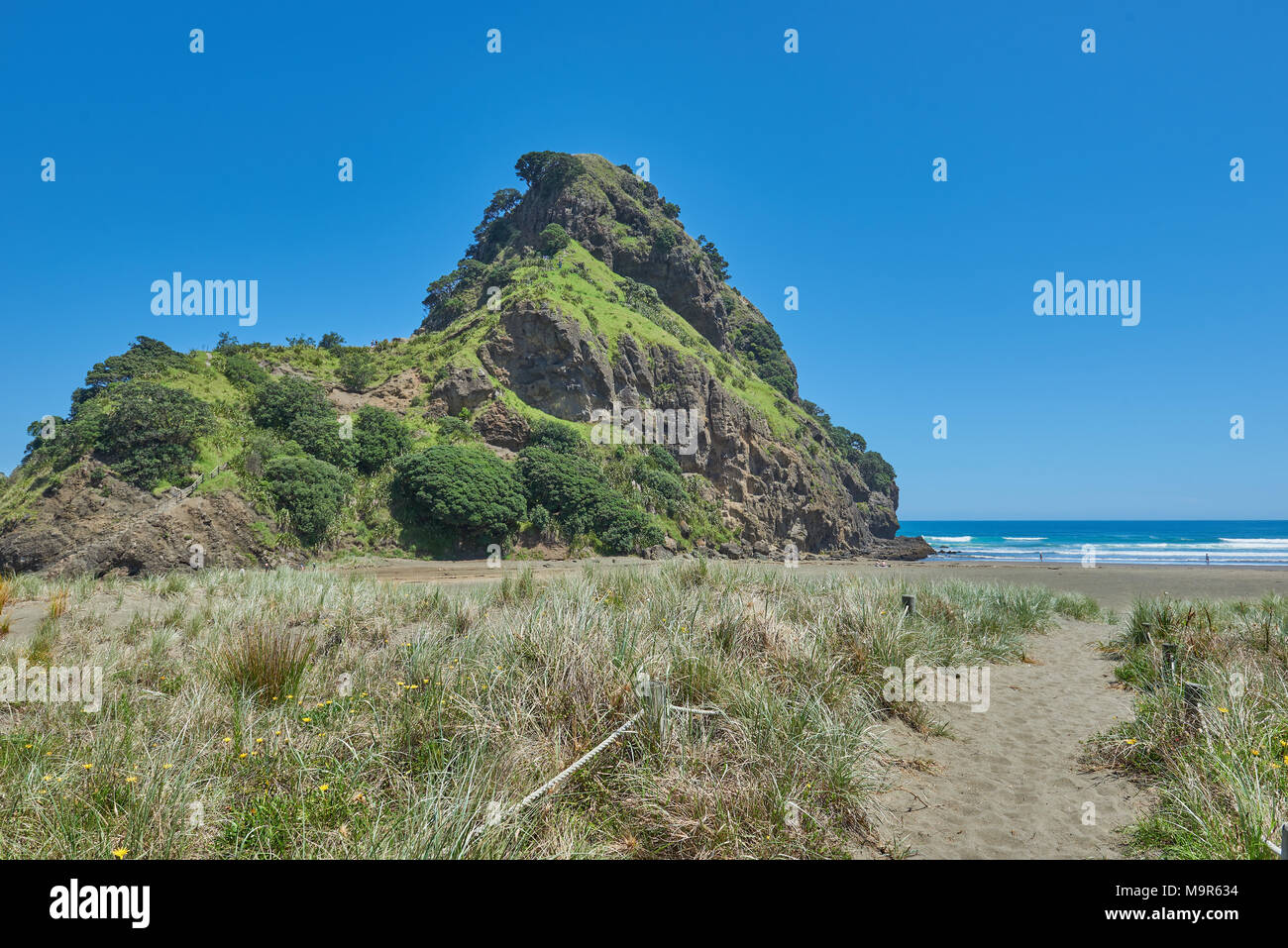 Piha iconic landmark hi-res stock photography and images - Alamy