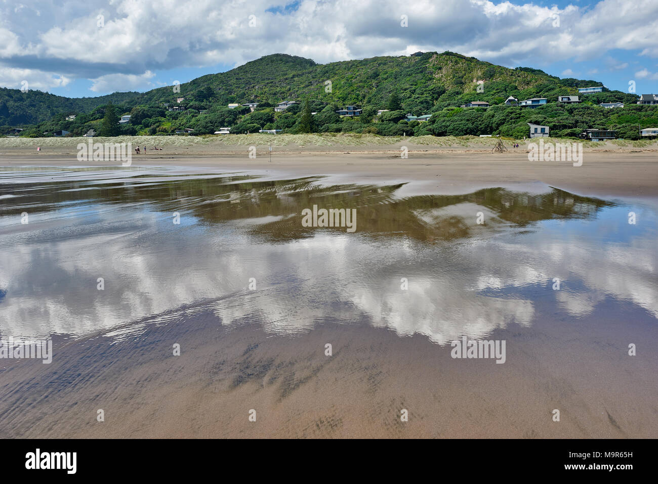 Piha Beach New Zealand High Resolution Stock Photography and Images - Alamy