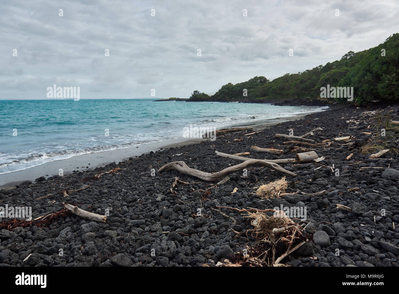Flotsam on the Beach on McKenzie Bay Rangitoto Island New Zealand Stock ...