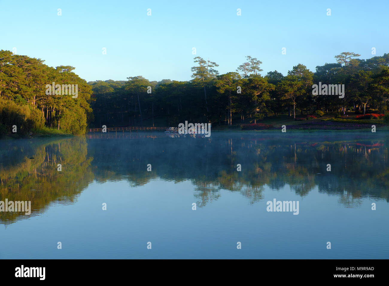 Dalat, vietnam than tho lake hi-res stock photography and images - Alamy
