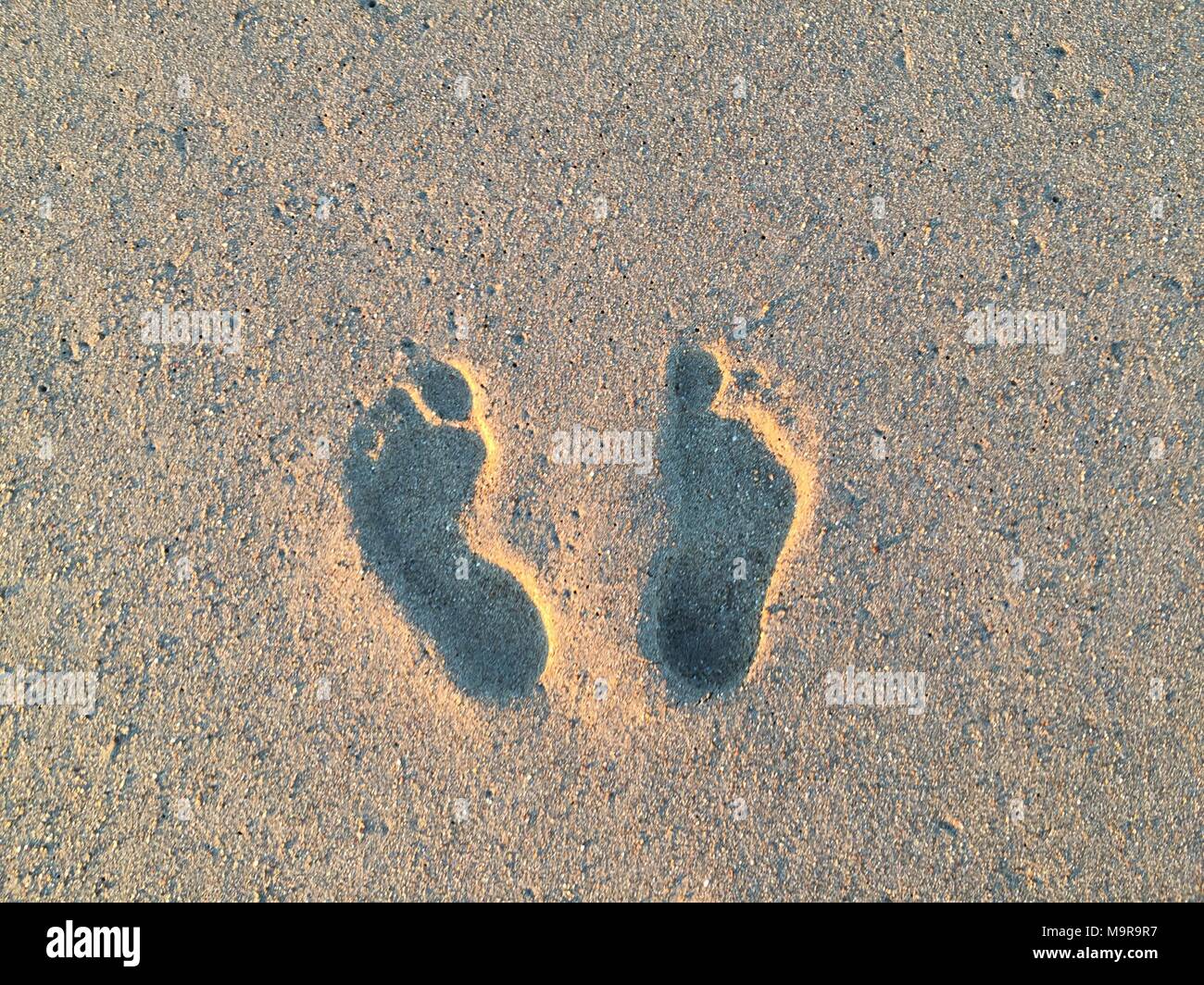 Footprints in the sand at sunset. Beautiful sandy tropical beach with ...
