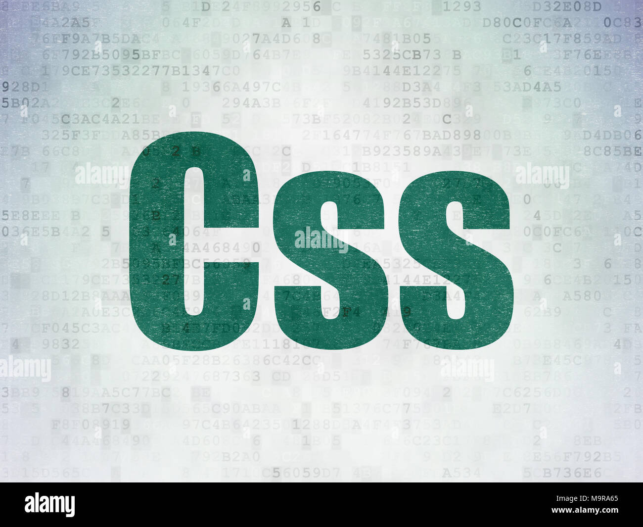 Software concept: Css on Digital Data Paper background Stock Photo - Alamy