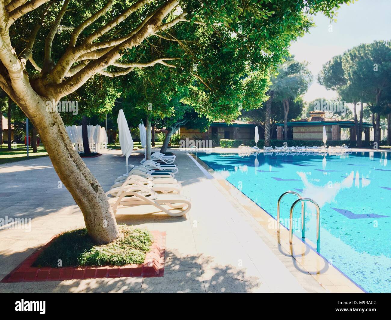 Beautiful tropical beach front hotel resort with swimming pool Stock ...