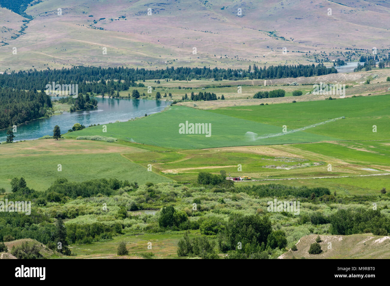 Flathead river hi-res stock photography and images - Alamy