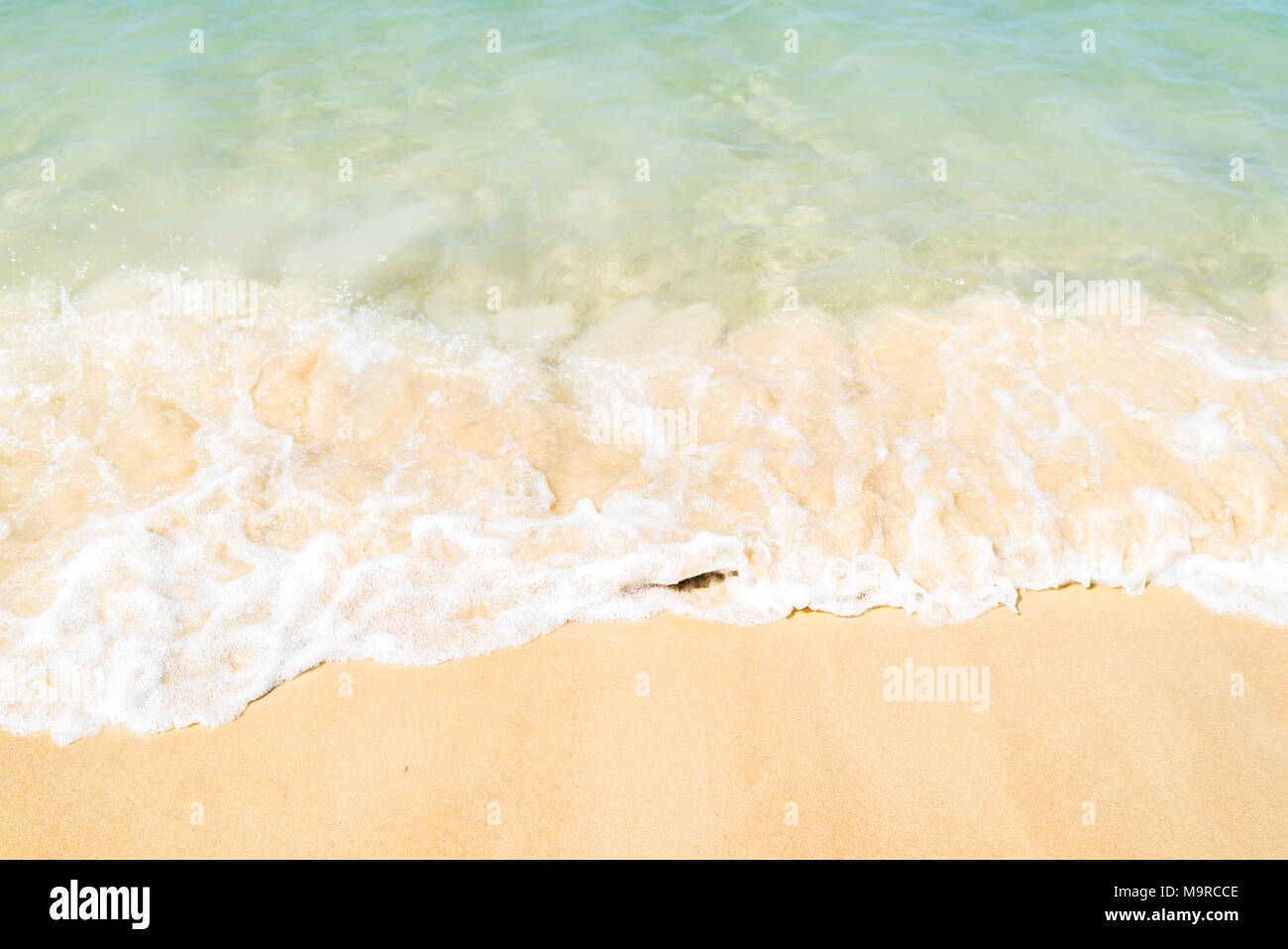 Sea wave in Tropical white sand beach Stock Photo - Alamy