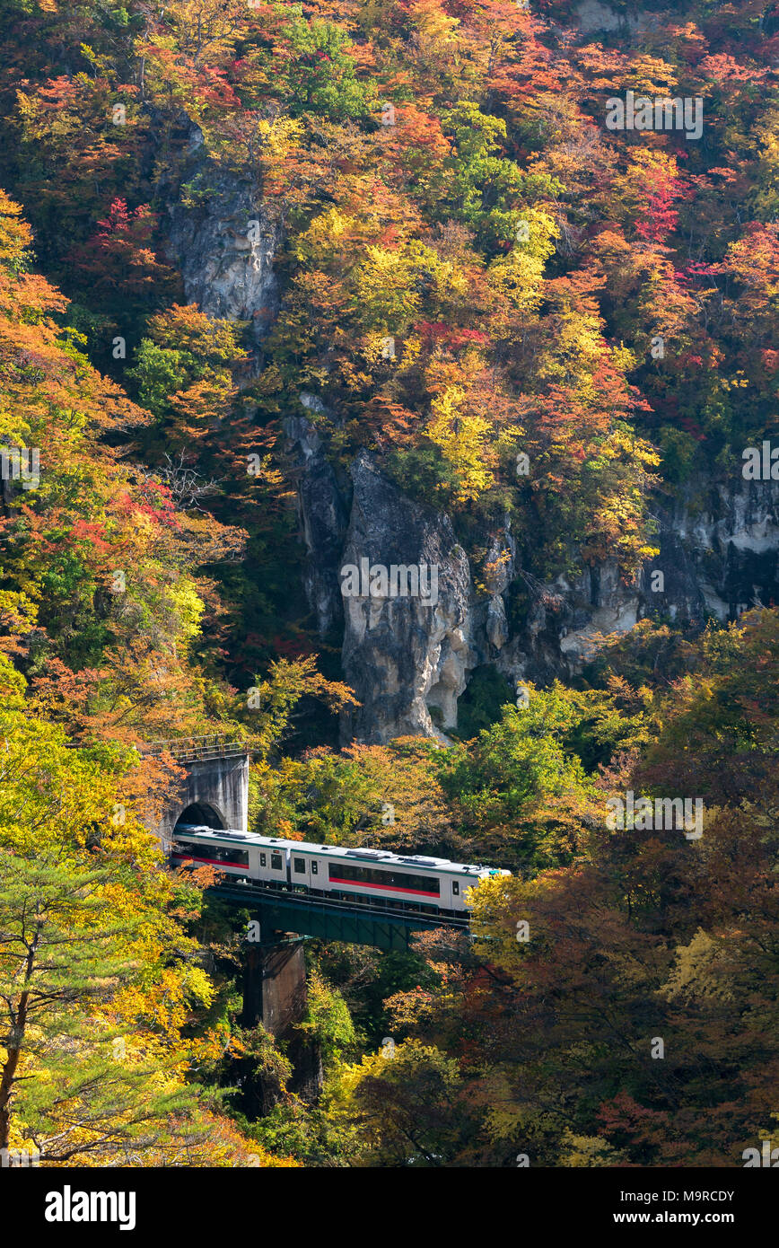 Naruko Gorge valley with train railroad tunnel in Miyagi Tohoku Japan ...