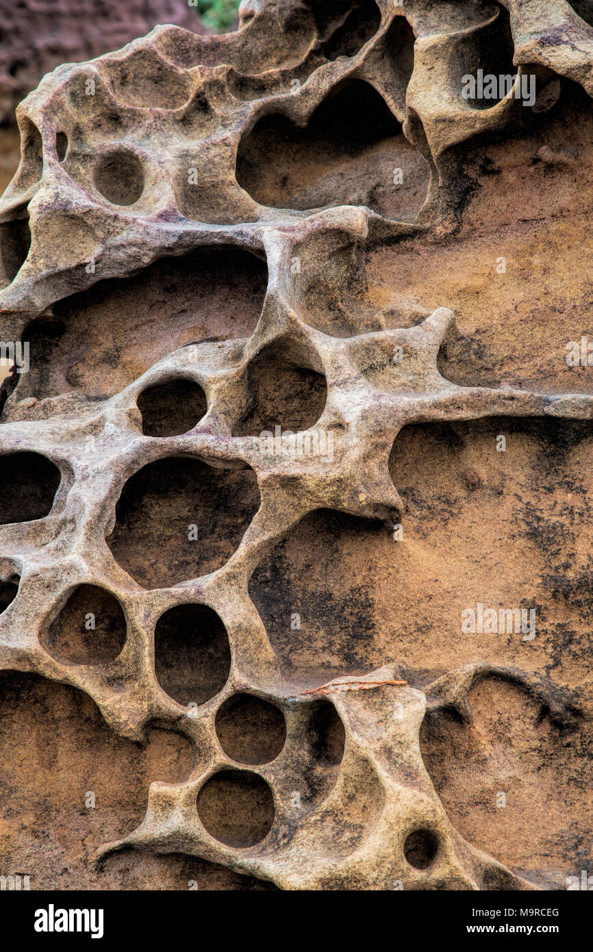 Honeycomb weathering hi-res stock photography and images - Alamy