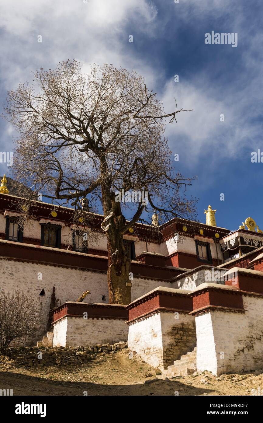 Monastery Reting May 2017 | usage worldwide Stock Photo - Alamy