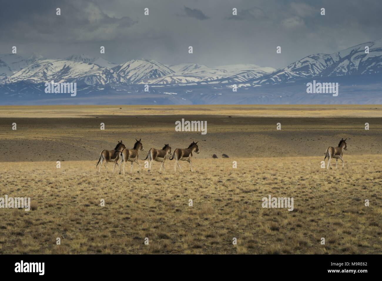 landscape around Dungkhar Caves May 2017 | usage worldwide Stock Photo ...