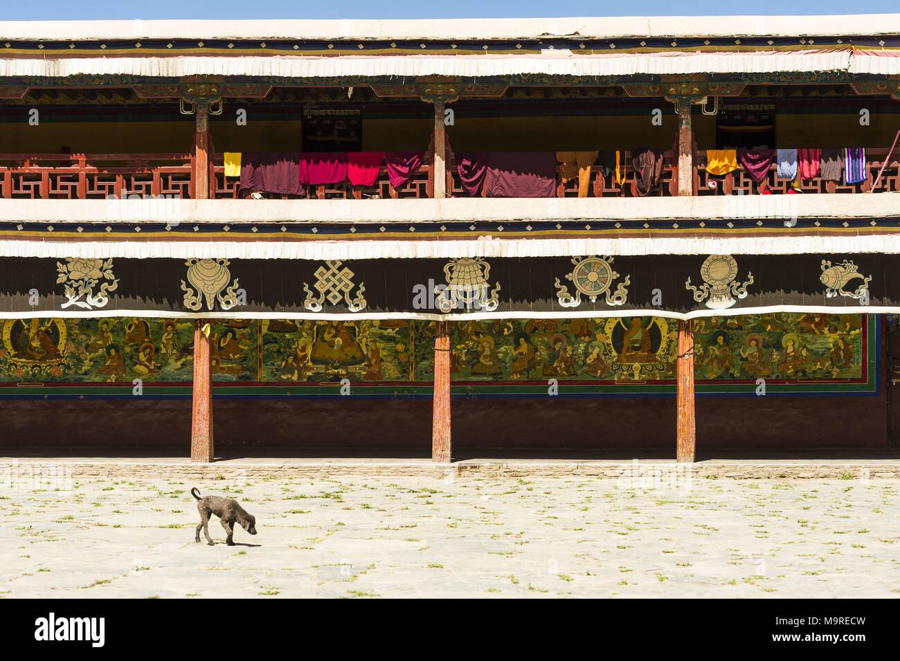 monastery Mindroling | usage worldwide Stock Photo - Alamy
