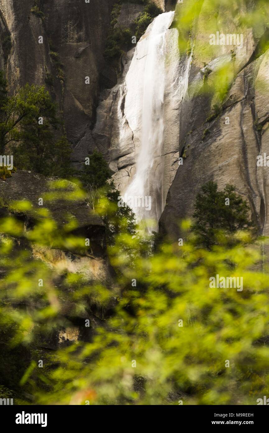 Kading Forest | usage worldwide Stock Photo - Alamy