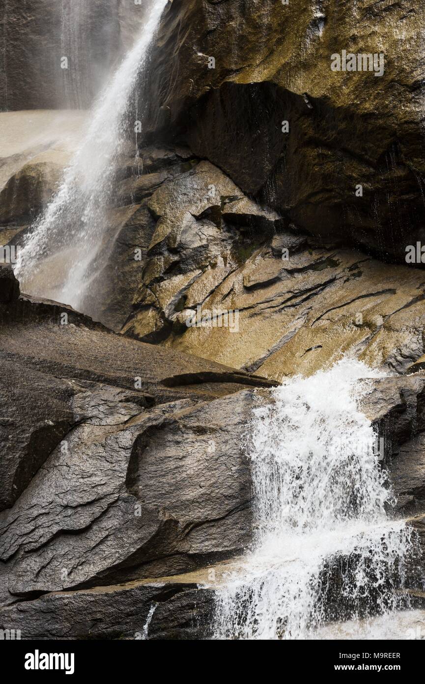 Kading Forest | usage worldwide Stock Photo - Alamy